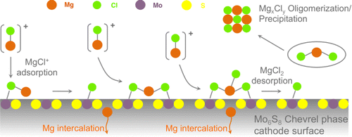 Mg Desolvation and Intercalation Mechanism at the Mo6S8 Chevrel Phase ...