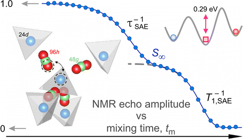 Ion Dynamics in Solid Electrolytes: NMR Reveals the Elementary Steps of ...