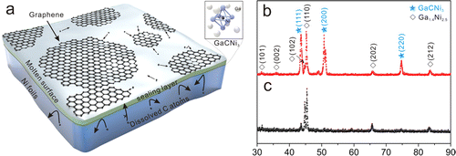 Growth of Uniform Monolayer Graphene Using Iron-Group Metals via the ...