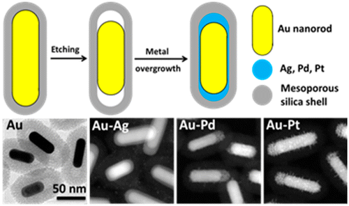 Oxidative Etching and Metal Overgrowth of Gold Nanorods within ...