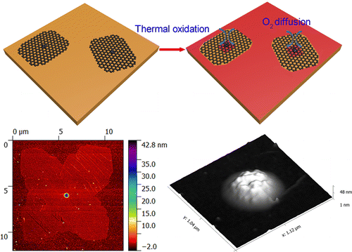 Copper Oxidation through Nucleation Sites of Chemical Vapor Deposited ...