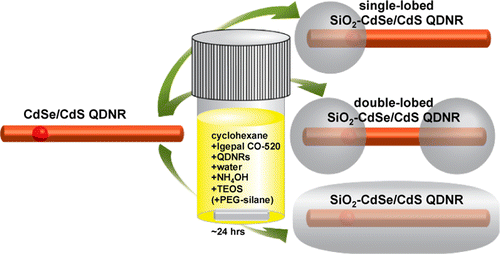 形态可控的CdSe / CdS核/壳量子点纳米棒的二氧化硅覆盖,Chemistry of Materials - X-MOL