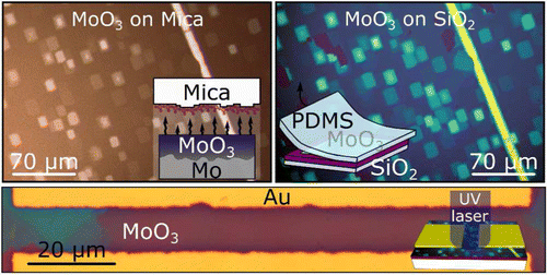Centimeter-Scale Synthesis of Ultrathin Layered MoO3 by van der Waals ...