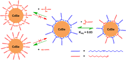 Quantifying Ligand Exchange Reactions at CdSe Nanocrystal Surfaces ...