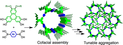 Discrete, Hexagonal Boronate Ester-Linked Macrocycles Related to Two-Dimensional Covalent ...