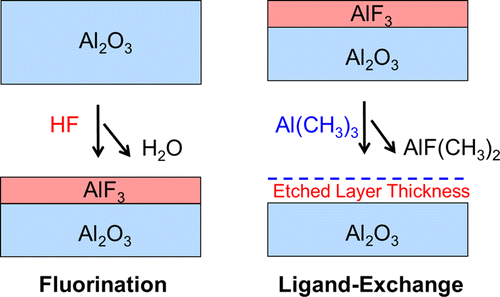 Selectivity in Thermal Atomic Layer Etching Using Sequential, Self-Limiting Fluorination and ...