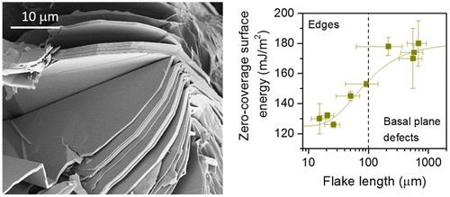 Differentiating Defect and Basal Plane Contributions to the Surface ...