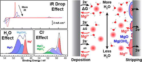 Tuning the Reversibility of Mg Anodes via Controlled Surface ...