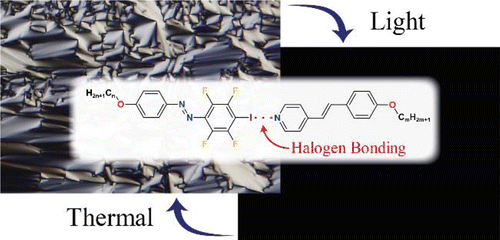 Efficient Light-Induced Phase Transitions in Halogen-Bonded Liquid ...