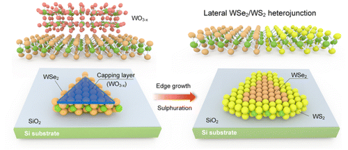 Lateral Epitaxy of Atomically Sharp WSe2/WS2 Heterojunctions on Silicon ...