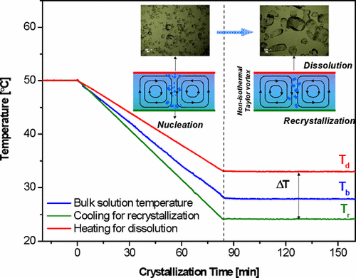 Batch Cooling Crystallization in Non-Isothermal Taylor Vortex Flow ...