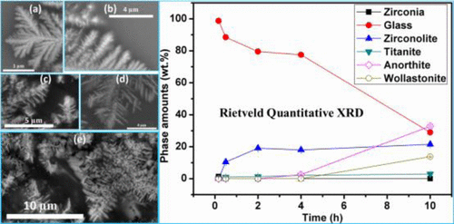 Combined Quantitative X-ray Diffraction, Scanning Electron Microscopy ...
