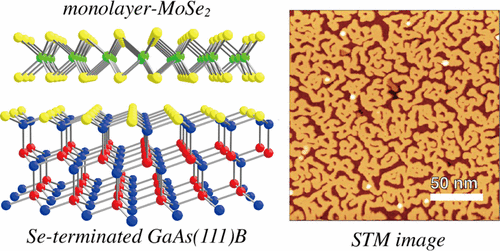 GaAs（111）A和（111）B上MoSe 2 分子束外延中表面和界面结构的演变,Crystal Growth & Design - X-MOL