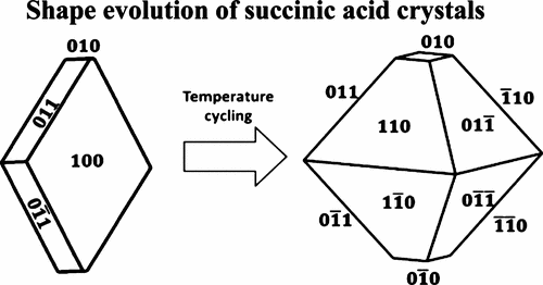 Investigation of the Evolution of Crystal Size and Shape during ...