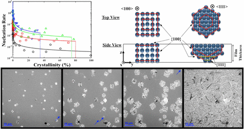 In Situ Crystallization and Morphological Evolution in Multicomponent ...
