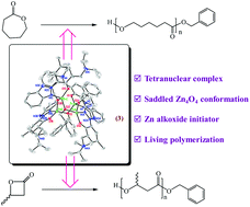 Mono-, di- and tetra-zinc complexes derived from an amino-benzotriazole ...