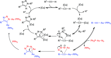 Au-iClick mirrors the mechanism of copper catalyzed azide–alkyne cycloaddition (CuAAC)†,Dalton ...