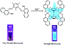 A highly selective, sensitive and reversible fluorescence chemosensor for Zn2+ and its cell ...