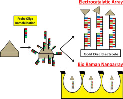 Triangular silver nanoplates: Properties and ultrasensitive detection ...