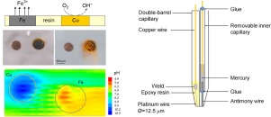 Combined amperometric/potentiometric probes for improved chemical ...