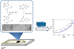 掺杂金的氧化石墨烯修饰的金-IDA微电极，用于同时测定尿液中的尿酸和抗坏血酸,Electrochimica Acta - X-MOL