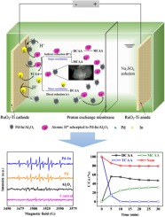 Reductive dechlorination of trichloroacetic acid (TCAA) by ...