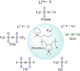 Influence of anion structure on ion dynamics in polymer gel ...
