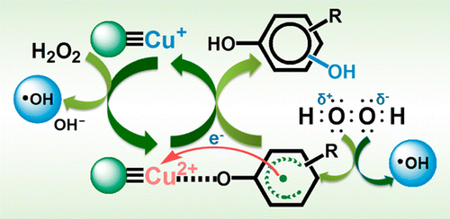 Enhanced Fenton Catalytic Efficiency of γ-Cu–Al2O3 by σ-Cu2+–Ligand Complexes from Aromatic ...