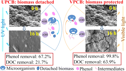 Intimate Coupling of Photocatalysis and Biodegradation for Degrading ...