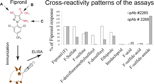 Development of an Immunoassay for the Detection of the Phenylpyrazole ...