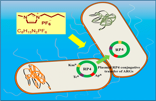 Ionic Liquid Facilitates the Conjugative Transfer of Antibiotic ...