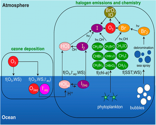 增强的臭氧沉积和卤素化学物质对北半球对流层臭氧的影响,Environmental Science & Technology - X-MOL