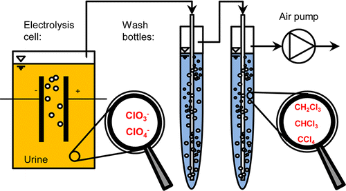 Formation of Chlorination Byproducts and Their Emission Pathways in ...