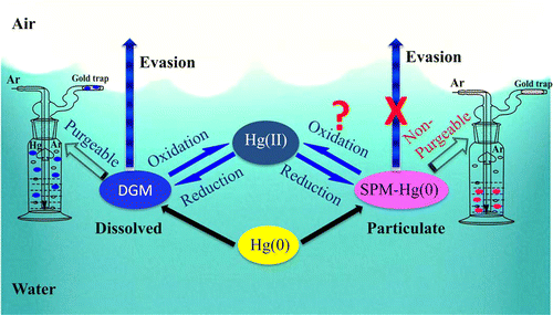天然水中的元素汞：汞的含量和含量的测定（0）,Environmental Science & Technology - X-MOL