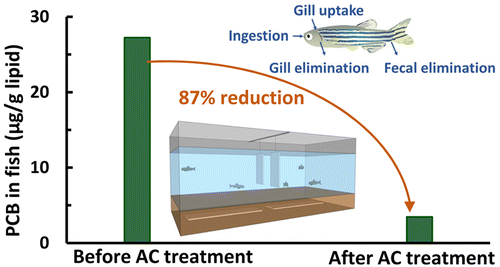 Effect of PCB Bioavailability Changes in Sediments on Bioaccumulation ...