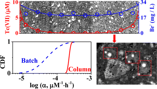 99Tc(VII) Retardation, Reduction, and Redox Rate Scaling in Naturally ...