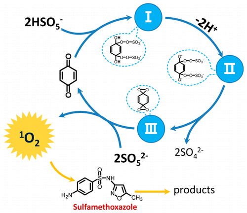 Activation of Peroxymonosulfate by Benzoquinone: A Novel Nonradical ...