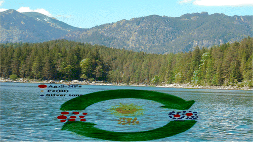 重新思考水生环境中的硫化银纳米颗粒（Ag2S-NPs）的稳定性：在Fe（III）存在下光诱导的Ag2S-NPs的转化 ...