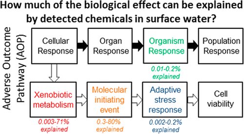 使用混合物毒性模型将地表水中的体外效应与检测到的有机微量污染物联系起来,Environmental Science & Technology - X-MOL