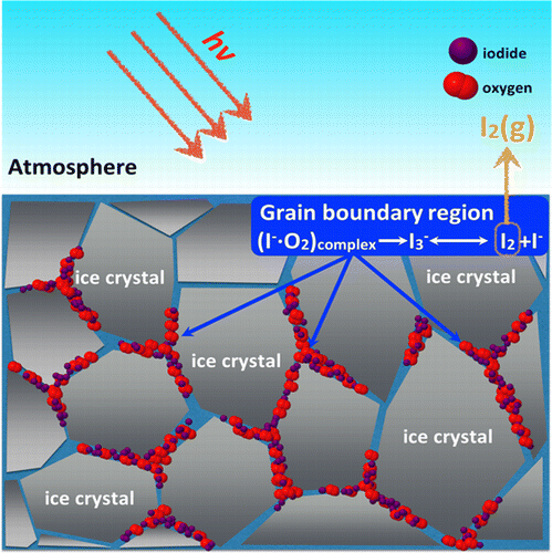 Production of Molecular Iodine and Tri-iodide in the Frozen Solution of ...