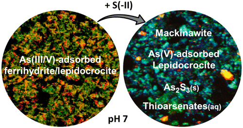 Sulfidization of Organic Freshwater Flocs from a Minerotrophic Peatland ...