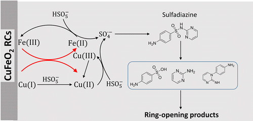 Sulfate Radical-Mediated Degradation of Sulfadiazine by CuFeO2 ...