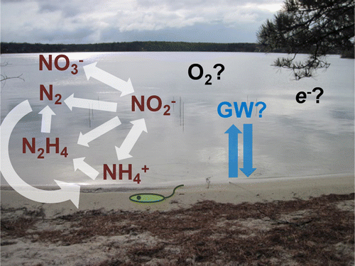 Hydrologic Controls on Nitrogen Cycling Processes and Functional Gene ...