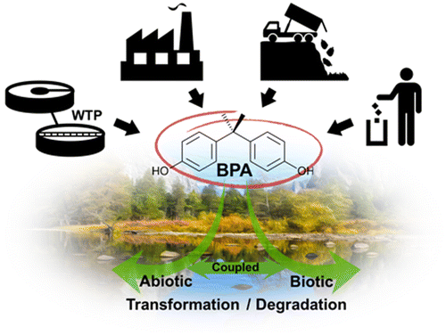 陆地和水生环境中双酚A的命运,Environmental Science & Technology - X-MOL