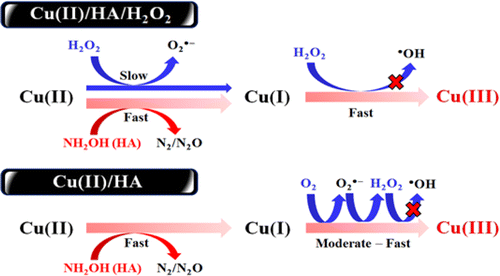 Activation of Oxygen and Hydrogen Peroxide by Copper(II) Coupled with ...