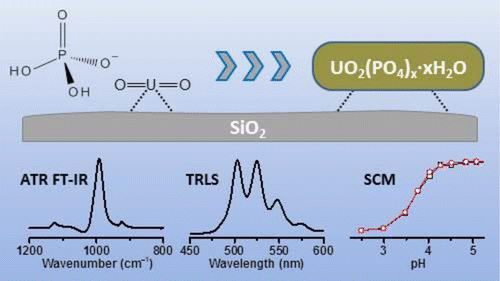 磷酸盐存在下U（VI）在SiO2上的吸附过程：从二元表面物种到沉淀,Environmental Science & Technology - X-MOL