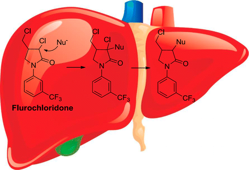 Metabolism and Bioactivation of Fluorochloridone, a Novel Selective ...