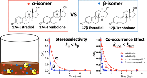 冲积沉积物中雌二醇和群勃龙异构体的立体选择性降解,Environmental Science & Technology - X-MOL