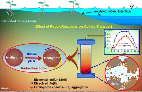 Impact of Redox Reactions on Colloid Transport in Saturated Porous ...