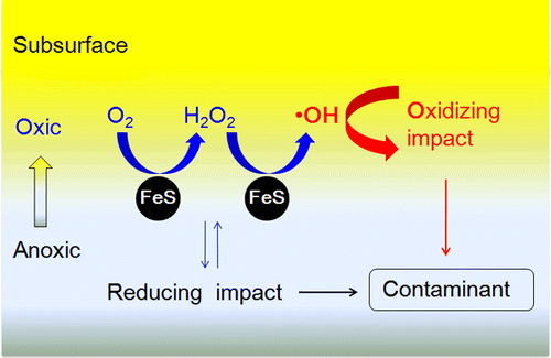 Oxidizing Impact Induced by Mackinawite (FeS) Nanoparticles at Oxic ...